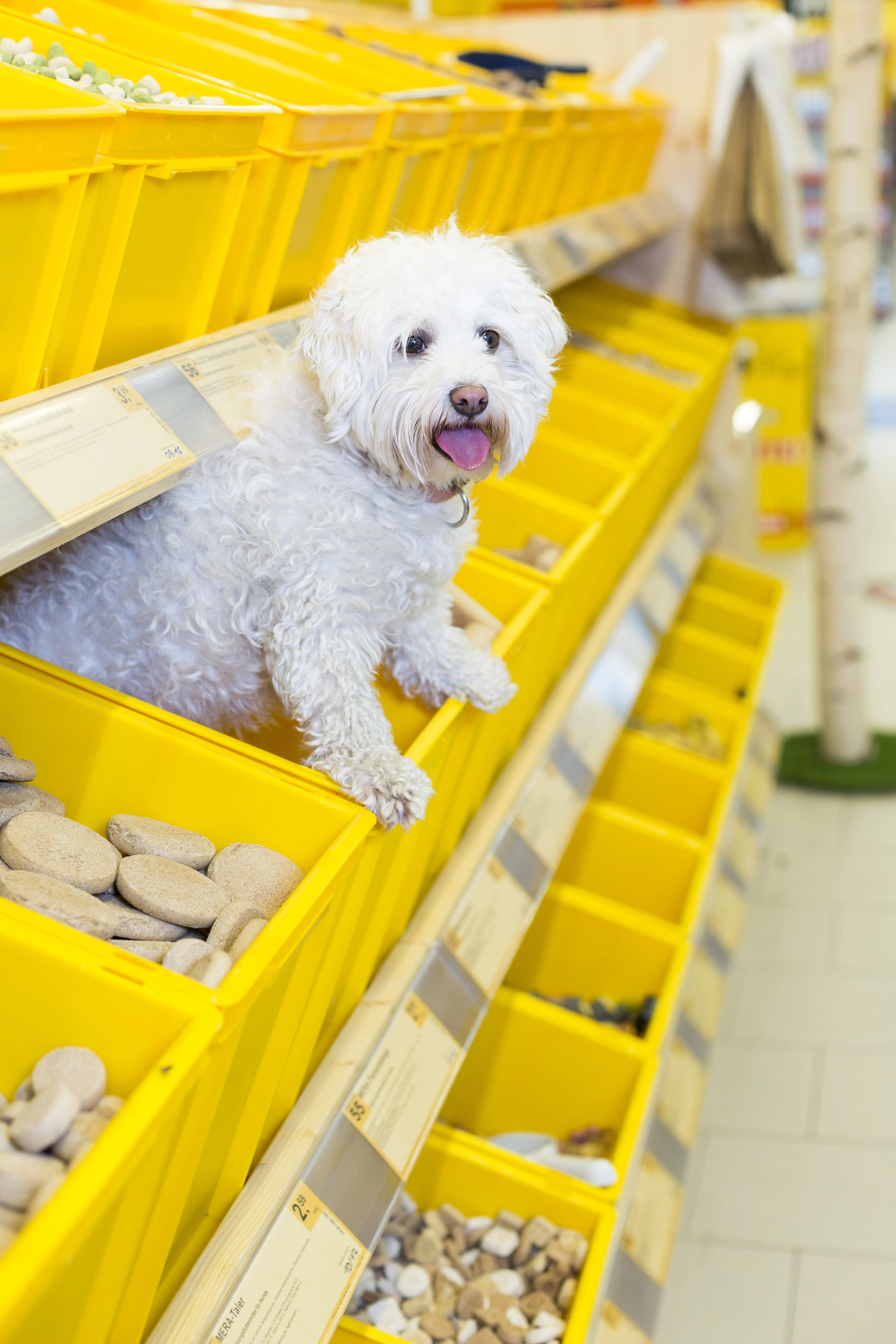 DAS FUTTERHAUS Franchise System: Märkte für Heimtierbedarf